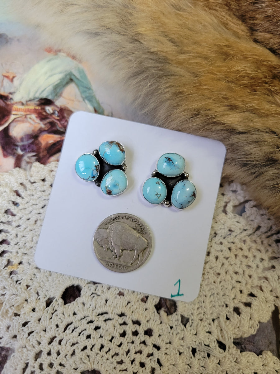 The Darla Kay Clusters - #1 – Texanna Belles