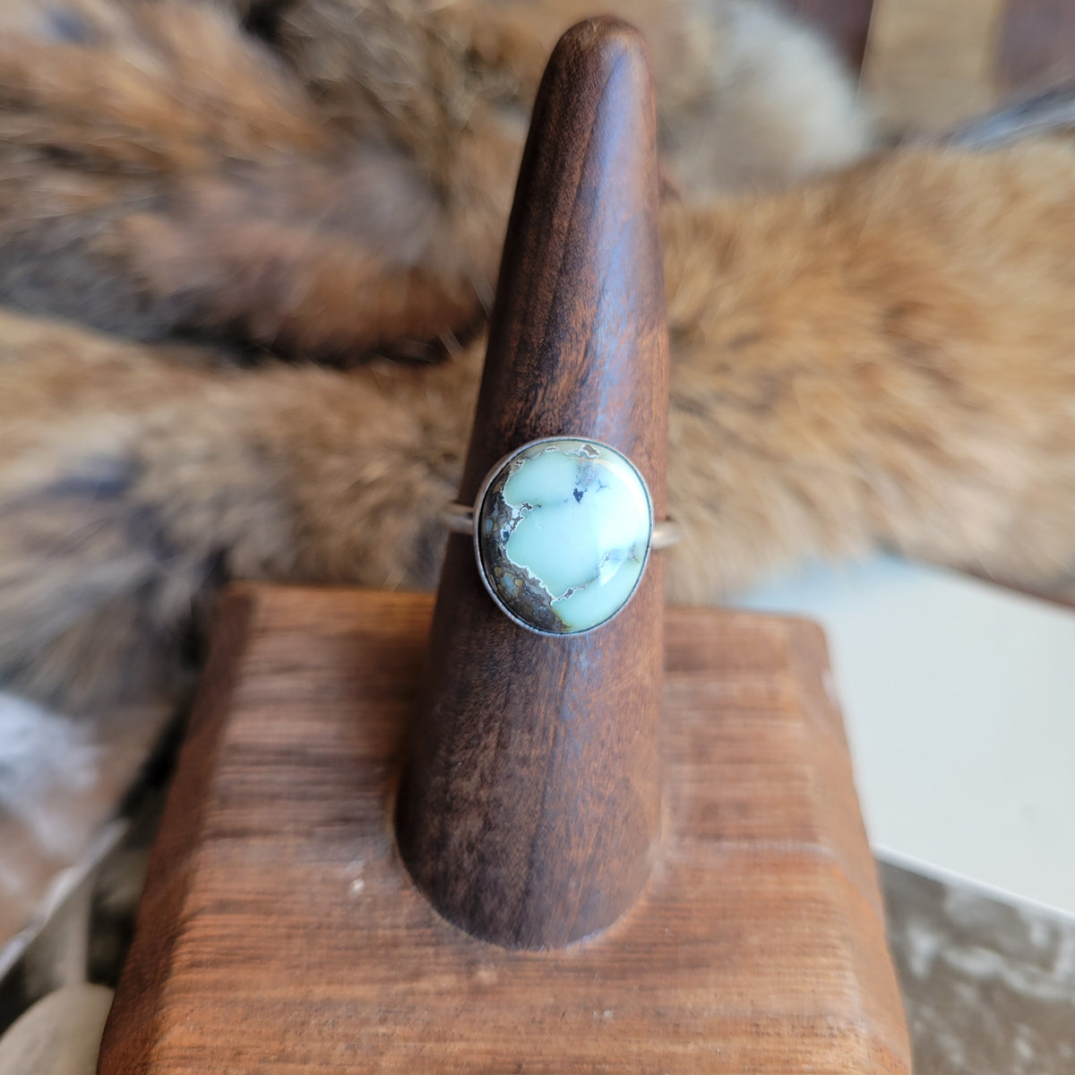 The Arizona Rings – Texanna Belles