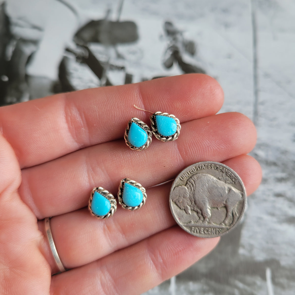 The Kerry Studs – Texanna Belles